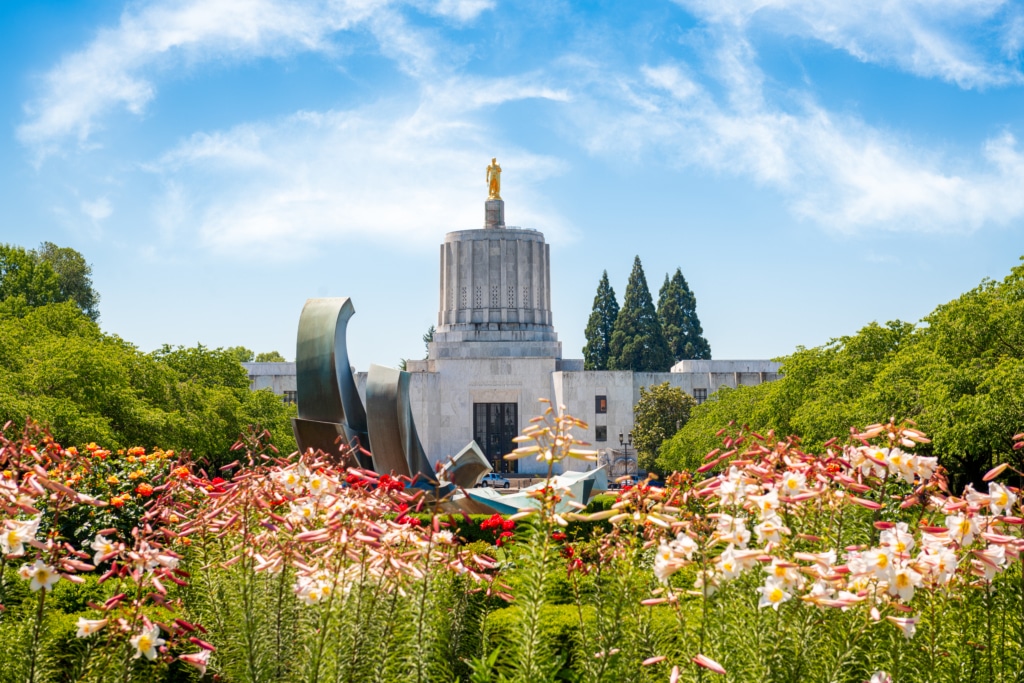 Starting a Business in Oregon: LLC vs Corporation - Your Complete Guide ...
